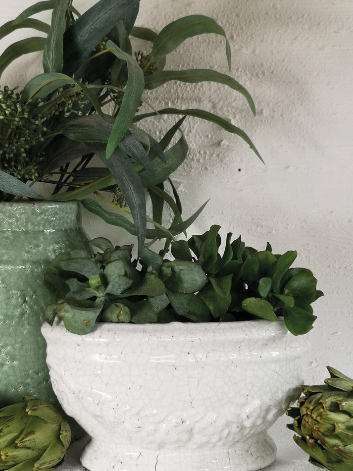 Merida Ivory Planter – Bert & Ernie's Bloomin Flowers
